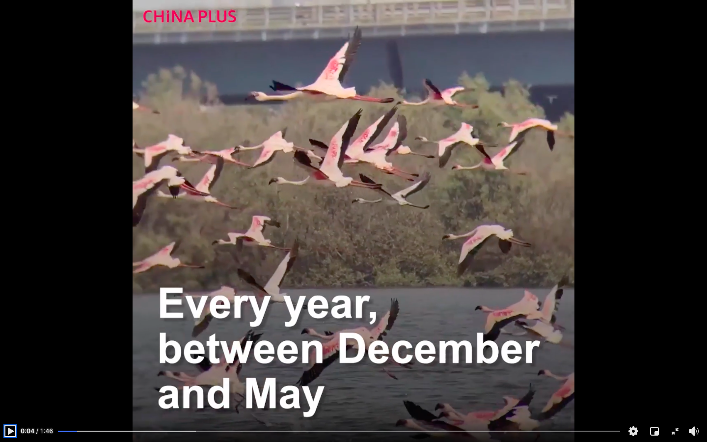 China Plus (CRI) – Sreoshi Mukherjee